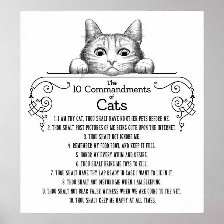 The 10 Commandments of Cats Funny Poster | Zazzle