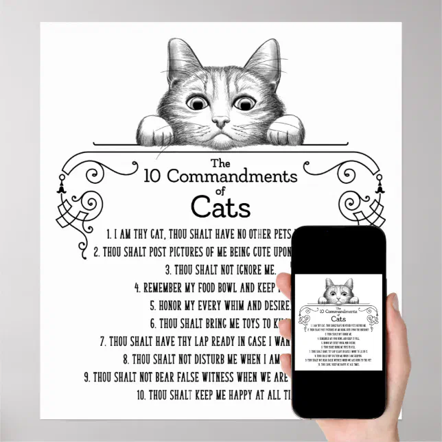 The 10 Commandments of Cats Funny Poster | Zazzle