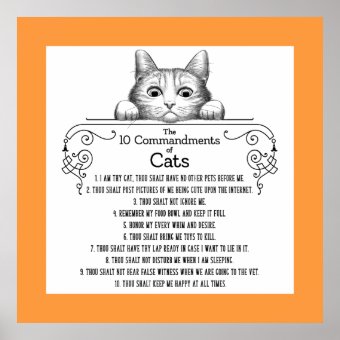 The 10 Commandments of Cats Funny Poster | Zazzle