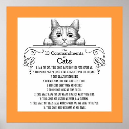The 10 Commandments of Cats Funny Poster | Zazzle