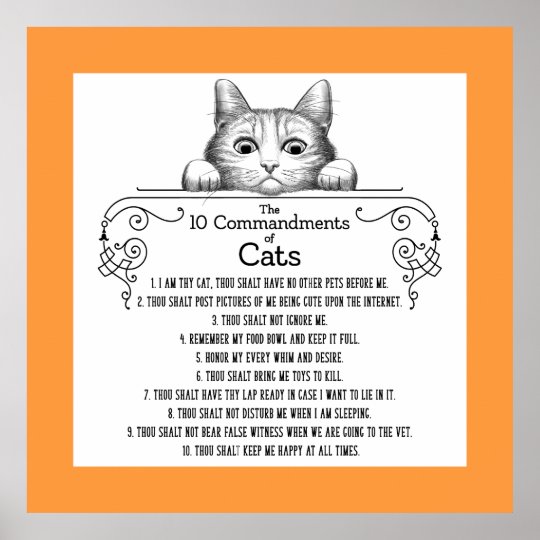 The 10 Commandments of Cats Funny Poster | Zazzle.com