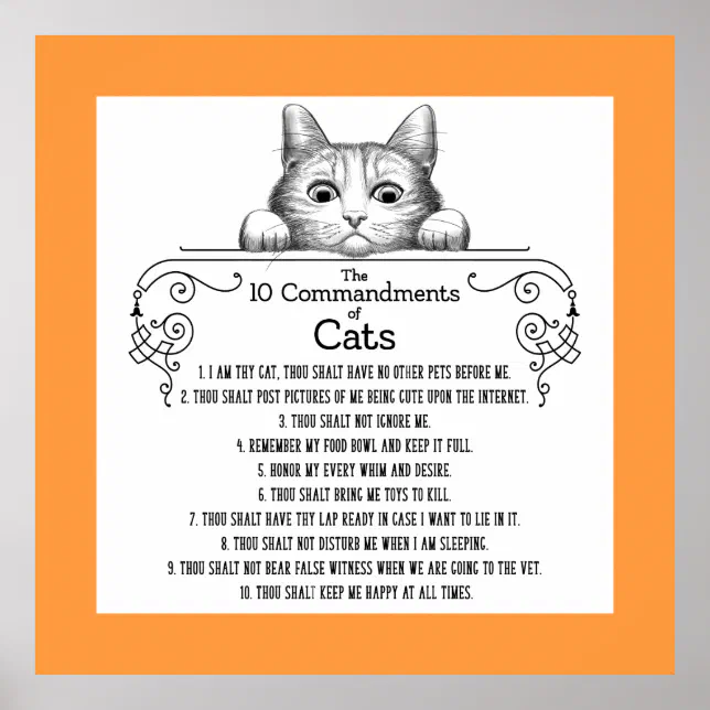 The 10 Commandments of Cats Funny Poster | Zazzle