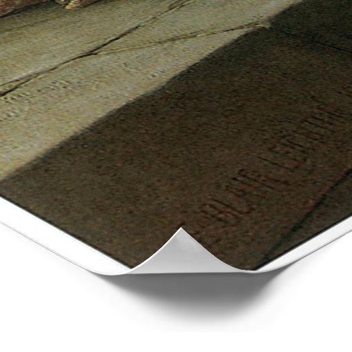 The Accolade Poster | Zazzle