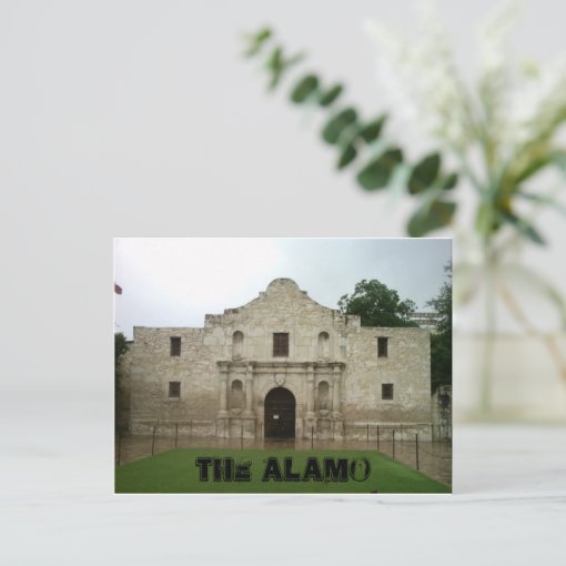 The Alamo - Postcard | Zazzle