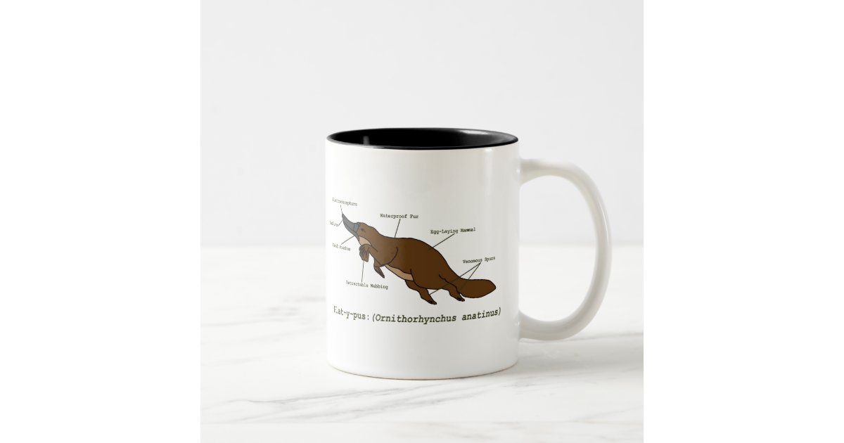 The Amazing Platypus Mug | Zazzle