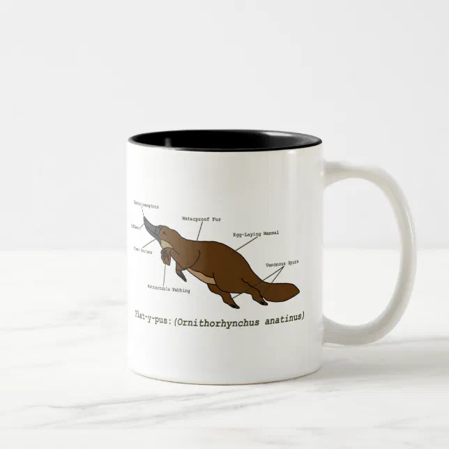 The Amazing Platypus Mug | Zazzle