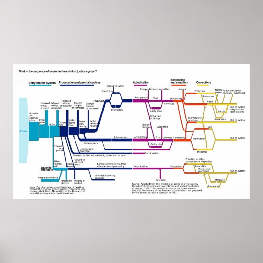The American Criminal Justice System Flowchart Poster | Zazzle.com