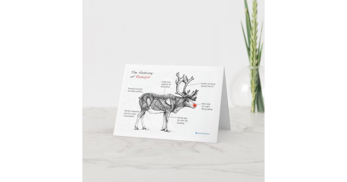 the Anatomy of Rudolph Christmas Card | Zazzle