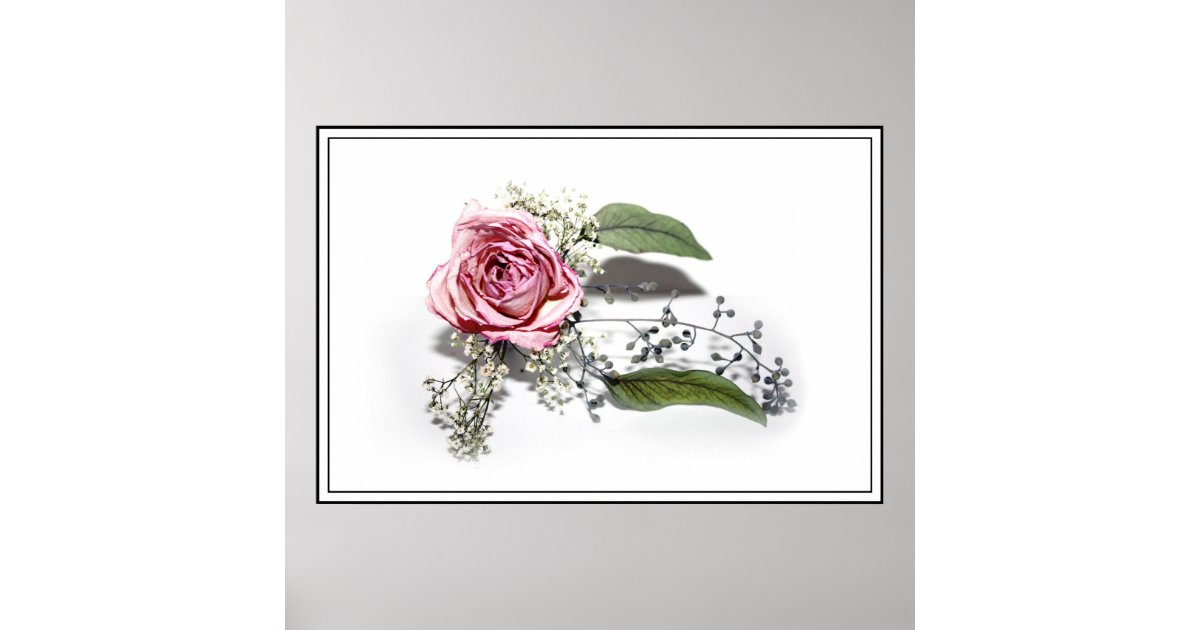 The Art of Aging Gracefully - A Pink Rose Poster | Zazzle