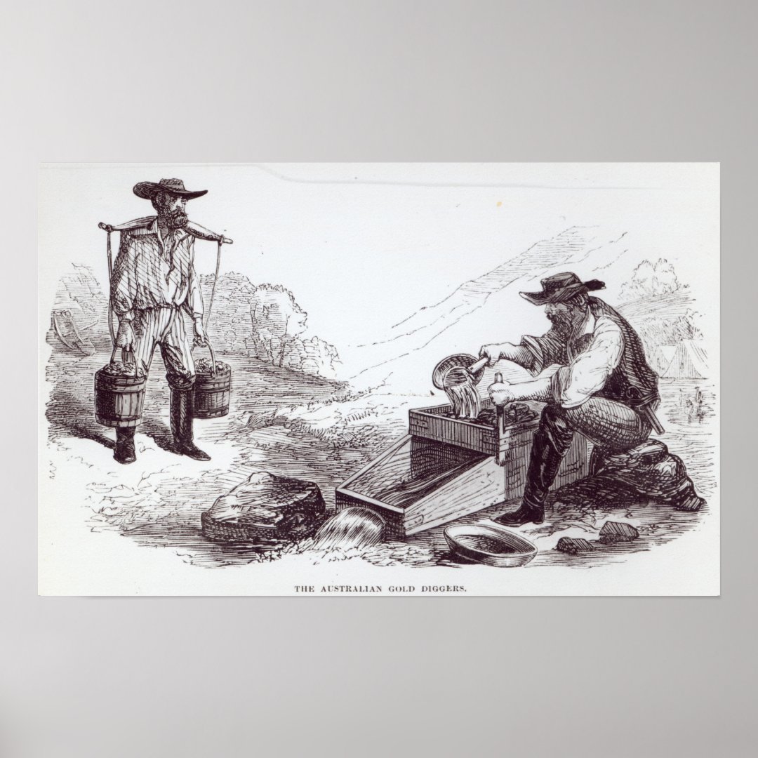 The Australian Gold Diggers Poster | Zazzle