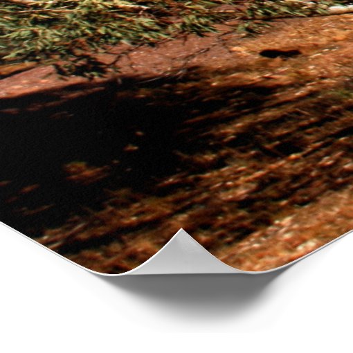 The Australian Outback Poster | Zazzle