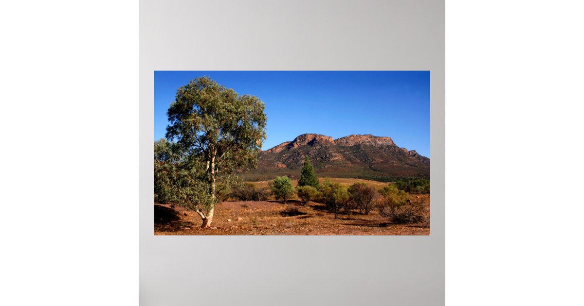 The Australian Outback Poster | Zazzle