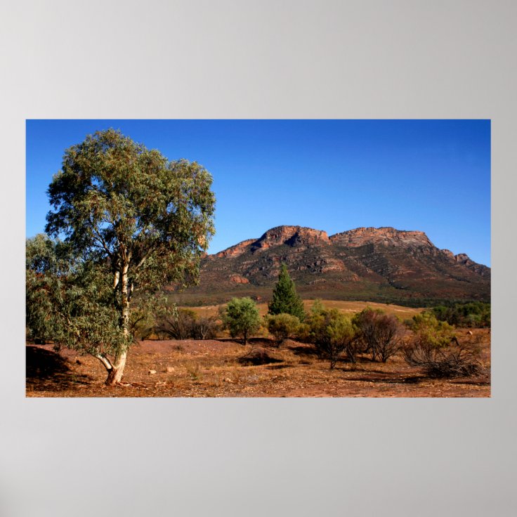The Australian Outback Poster | Zazzle
