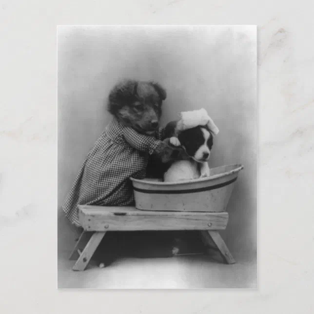 The Bath Postcard | Zazzle