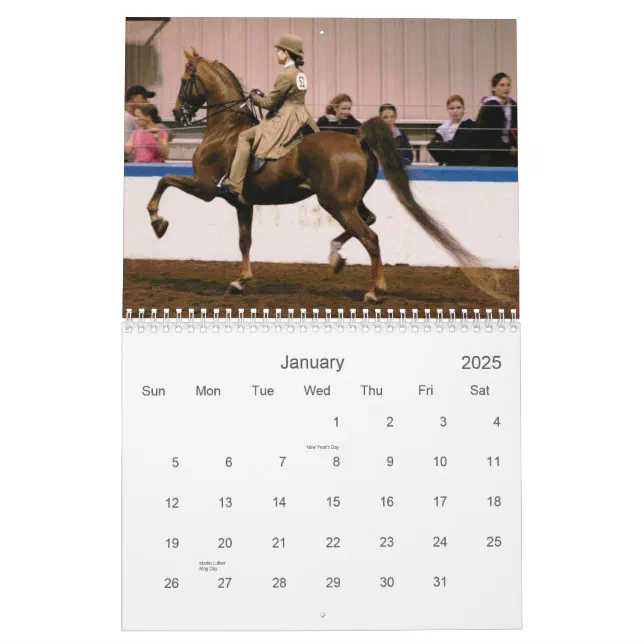 The Beautiful American Saddlebred Calendar | Zazzle