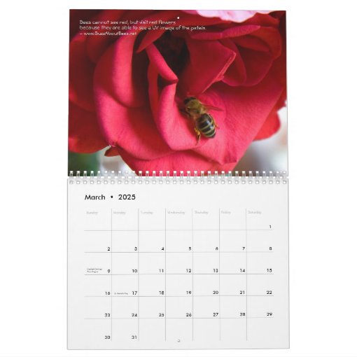 The Bee Calendar 2021 Honey and Bumble Bees | Zazzle