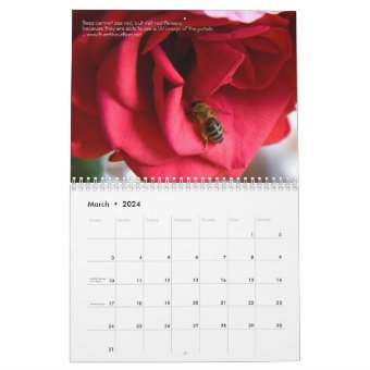 The Bee Calendar 2021 Honey and Bumble Bees | Zazzle