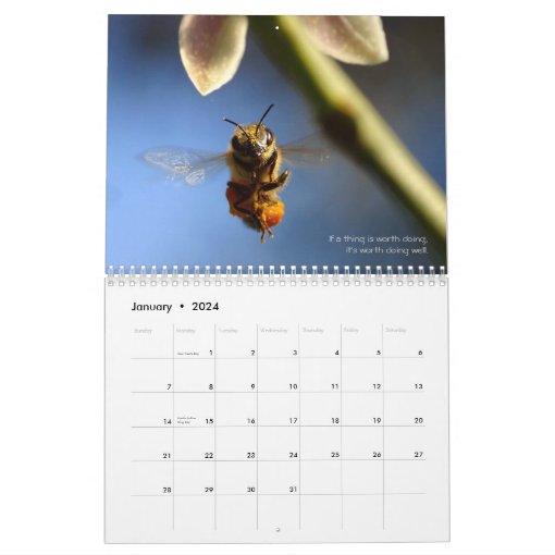 The Bee Calendar 2021 Honey and Bumble Bees | Zazzle