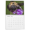 The Bee Calendar 2025 Honey and Bumble Bees | Zazzle