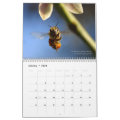 The Bee Calendar 2025 Honey and Bumble Bees | Zazzle