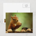 The Best of the Bunch Postcard | Zazzle