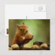 The Best of the Bunch Postcard | Zazzle
