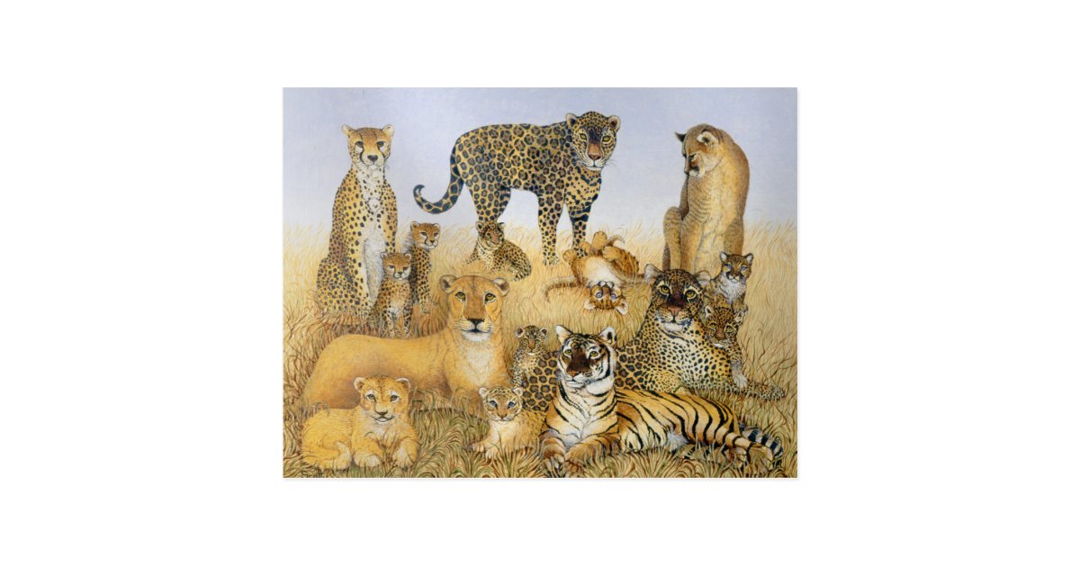 The Big Cats Postcard | Zazzle.com