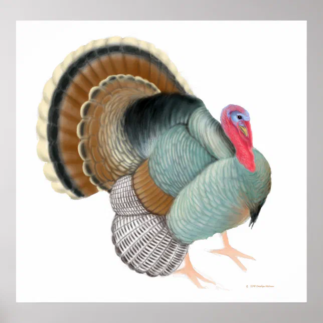 The Big Turkey Print | Zazzle
