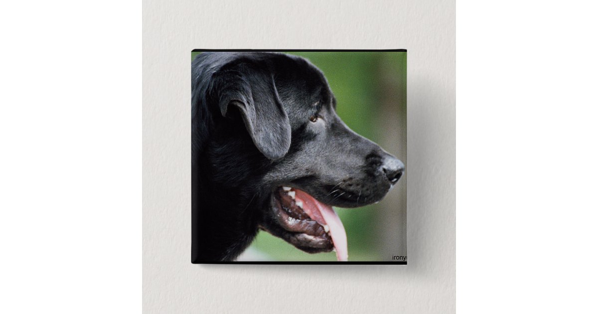 The Black Labrador Pinback Button | Zazzle