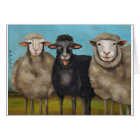 Funny Black Sheep of the Family Birthday Card | Zazzle.com