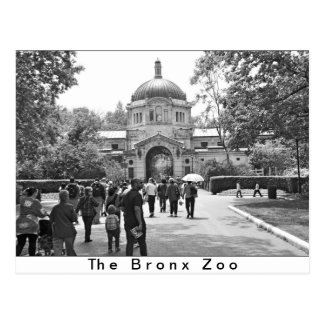 Bronx Zoo Postcards | Zazzle