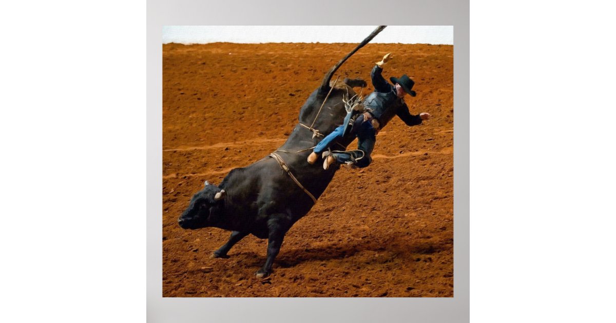 The Bull Rider Poster | Zazzle