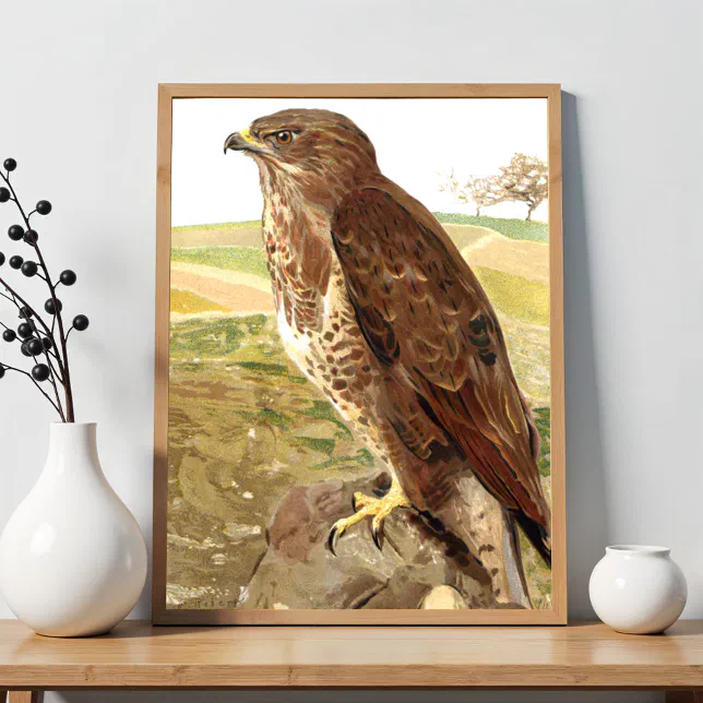The Buzzard Poster | Zazzle
