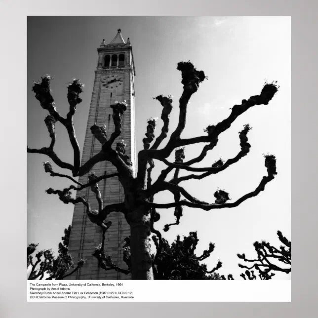 The Campanile from Plaza, UC Berkeley, 1964 Poster | Zazzle