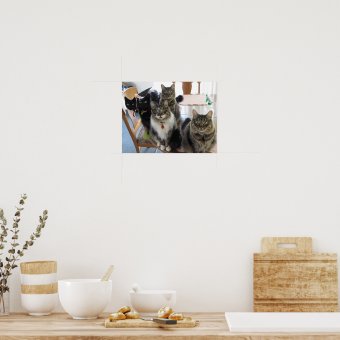 The Cat Gang Poster | Zazzle