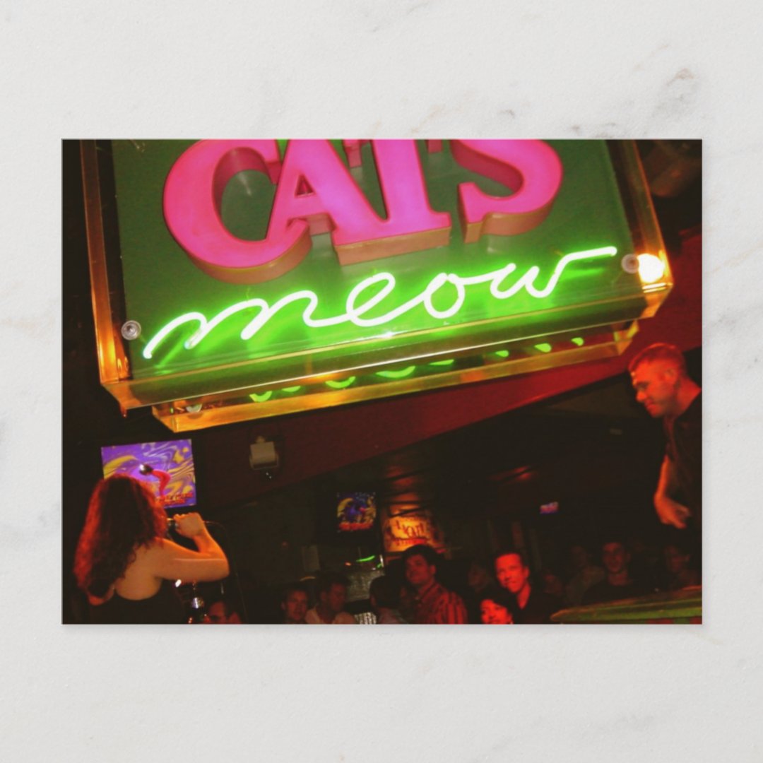 The Cat's Meow Nightclub in New Orleans Postcard | Zazzle