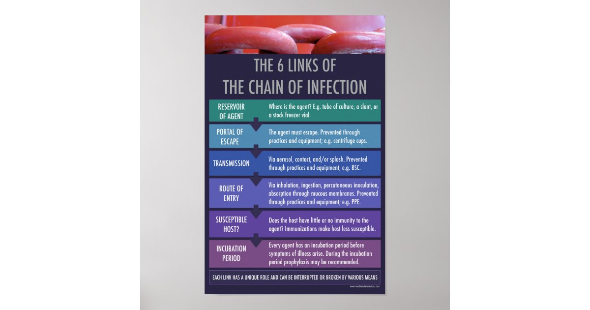 The Chain of Inflectional Educational Poster | Zazzle