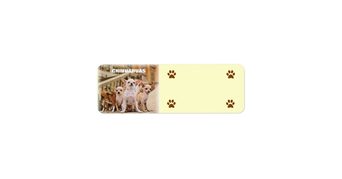 The Chihuahua Gang Label | Zazzle