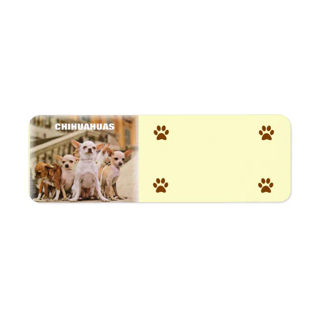 The Chihuahua Gang Label | Zazzle