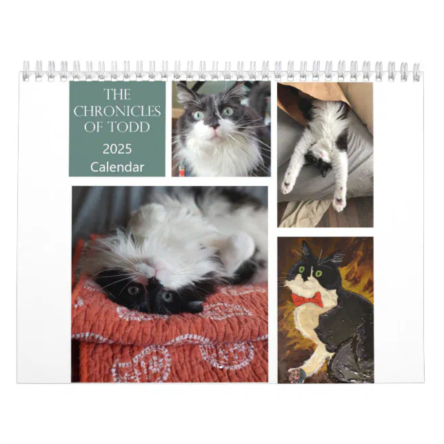 The Chronicles of Todd 2025 Calendar | Zazzle