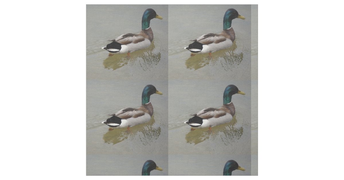 THE CLASSIC MALLARD DUCK FABRIC | Zazzle