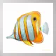 The Copperband Butterfly Fish Study Poster | Zazzle