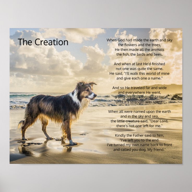 The Creation of Life and Dog Poem Poster | Zazzle