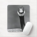 The Curious Goose Mousepad | Zazzle