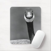 The Curious Goose Mousepad | Zazzle