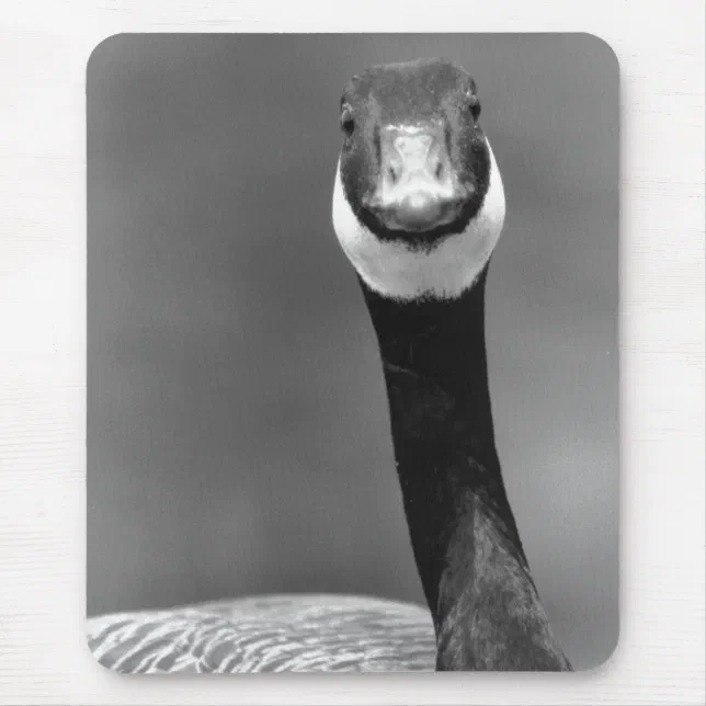The Curious Goose Mousepad | Zazzle