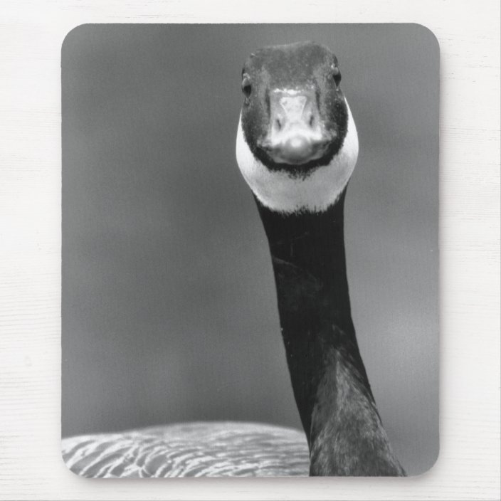 The Curious Goose Mousepad | Zazzle.com