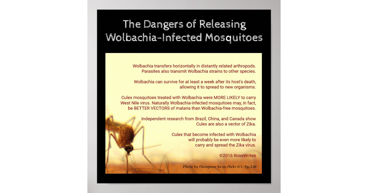 The Dangers of Wolbachia by RoseWrites Poster | Zazzle