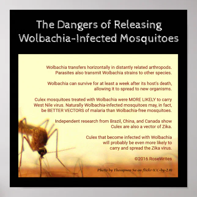The Dangers of Wolbachia by RoseWrites Poster | Zazzle