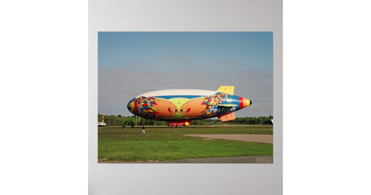 The Division Belle Poster | Zazzle